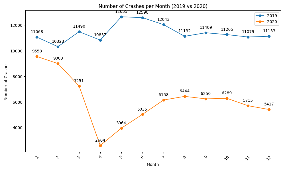 Athina Stewart - Software Engineer